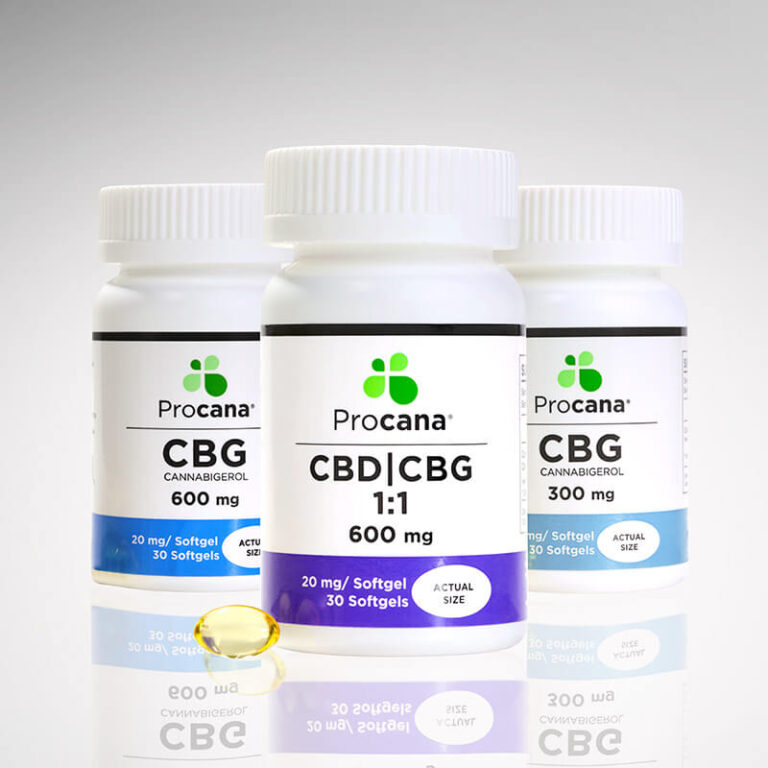 Best CBD Treats for Dogs & Cats | CBD Oil for Cats | CBD for Dogs